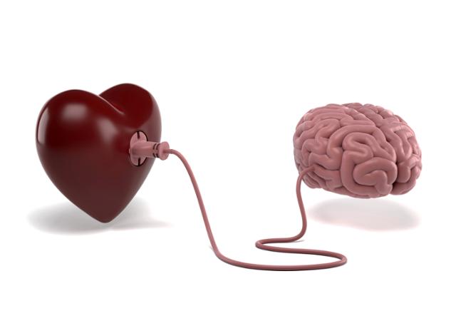 그게 다 지능이 모자라서랍니다